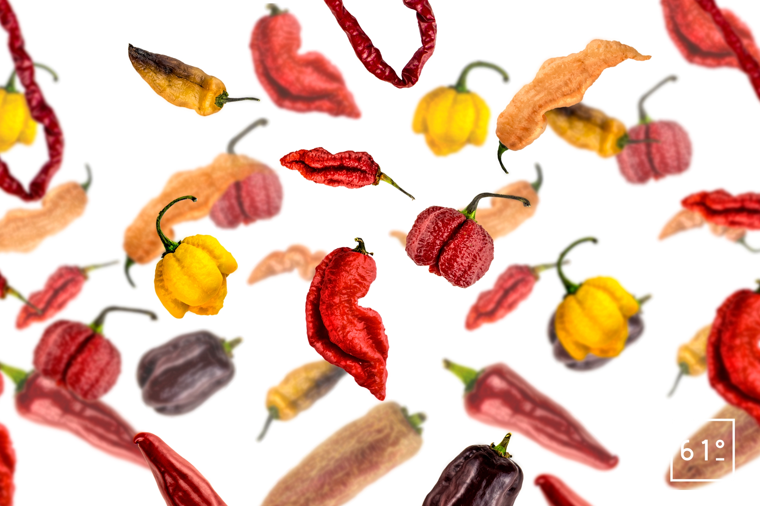 Piments : les Capsicum Chinense | Ingrédient | 61°Degrés
