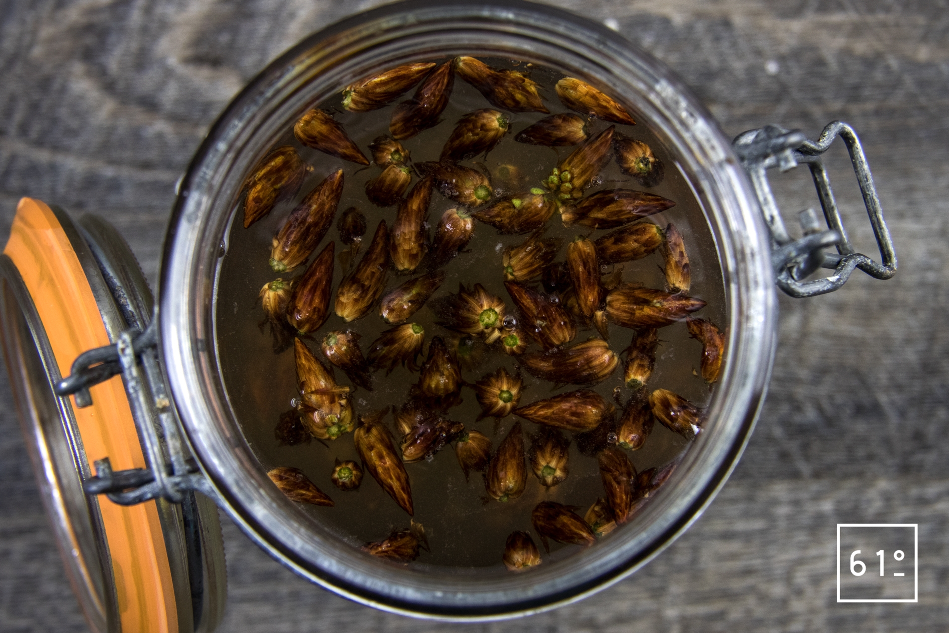Alcool aux bourgeons de pin | Recette | 61°Degrés