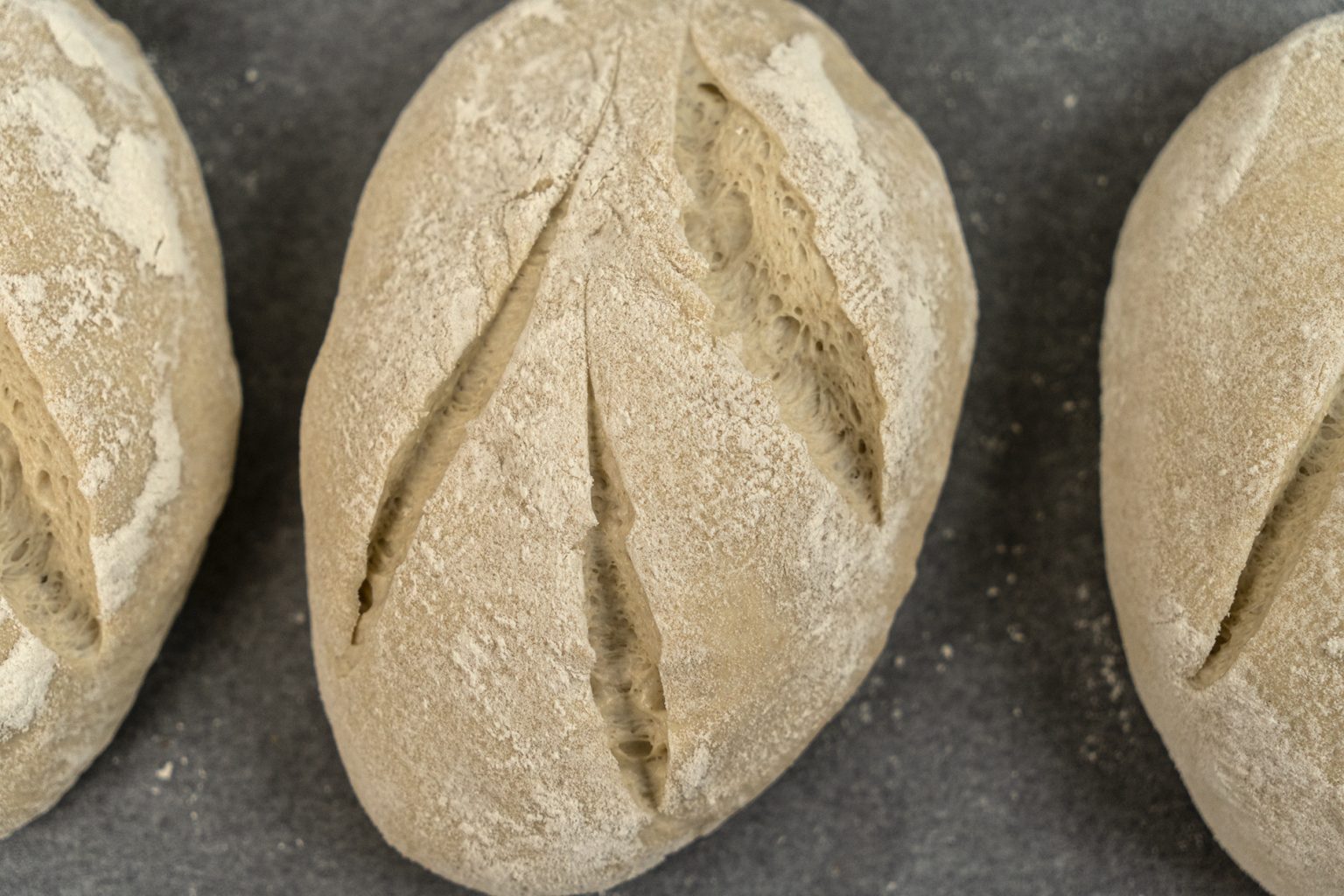 Pain sur poolish | Recette | 61°Degrés