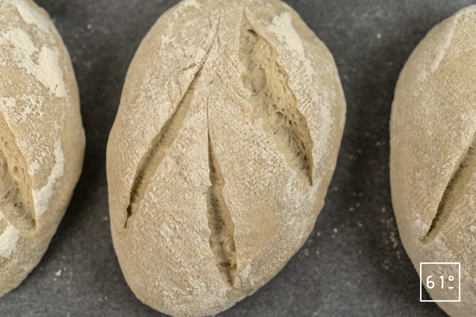 Pain sur poolish | Recette | 61°Degrés